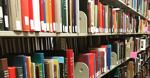 CHETNA PUBLIC INTER COLLEGE